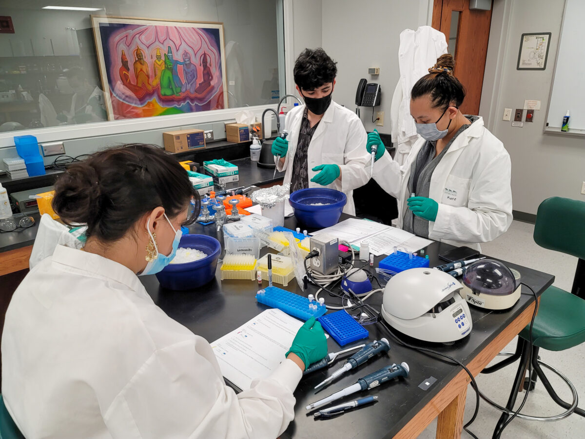 STEM scholars get hands-on lab experience during alternative spring ...